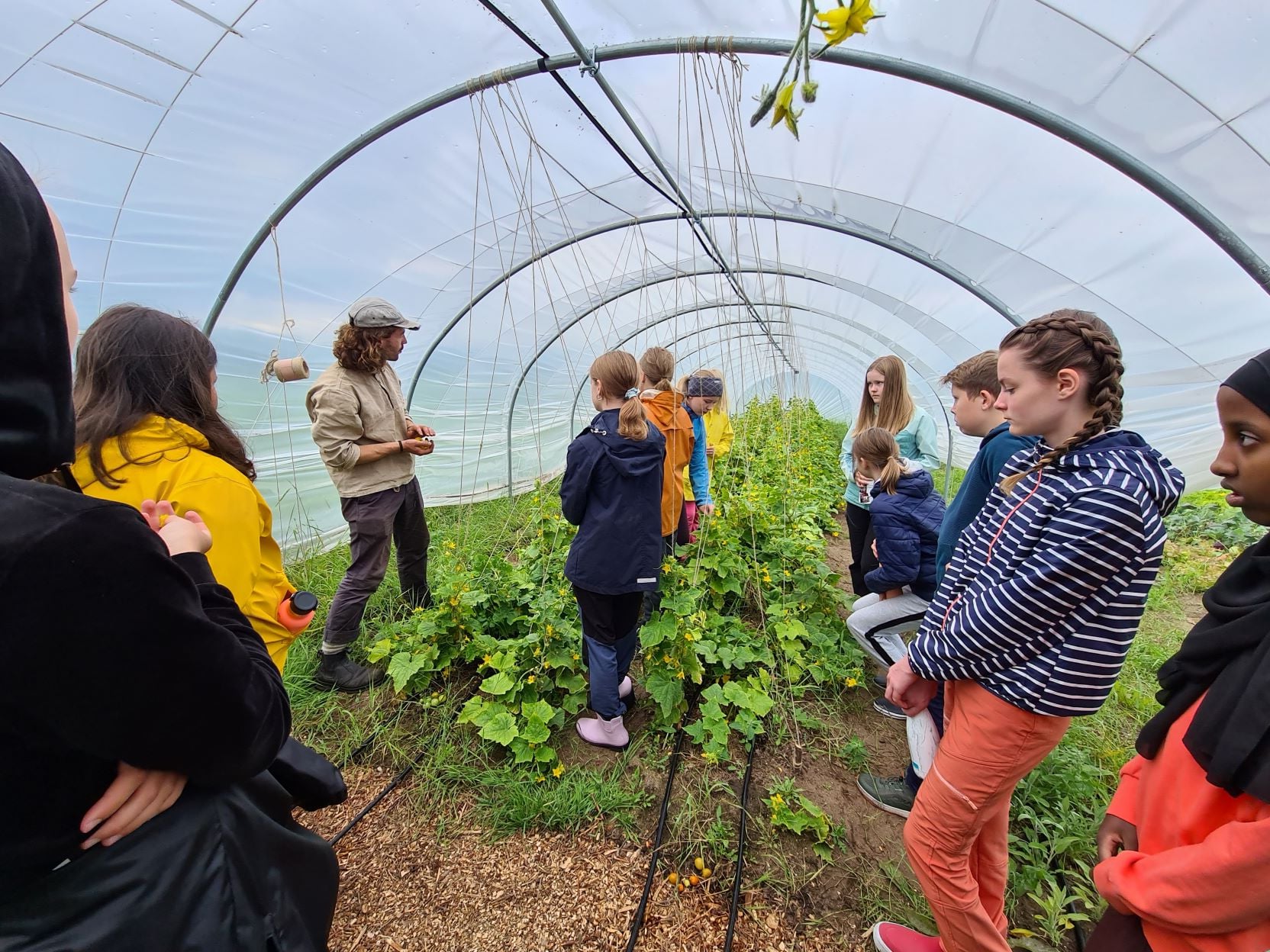 Årets BæreKRAFT-sommerskole er gjennomført! - Kraft Nord